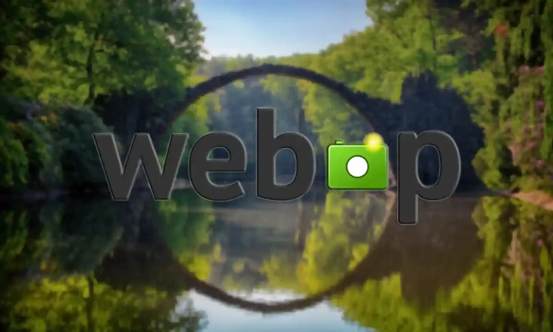 Mengenal Format Gambar WebP dan Apa Saja Keunggulannya?