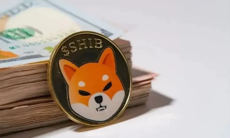 Mengenal Shiba Inu Coin, Mata Uang Kripto yang Harganya Meroket ...