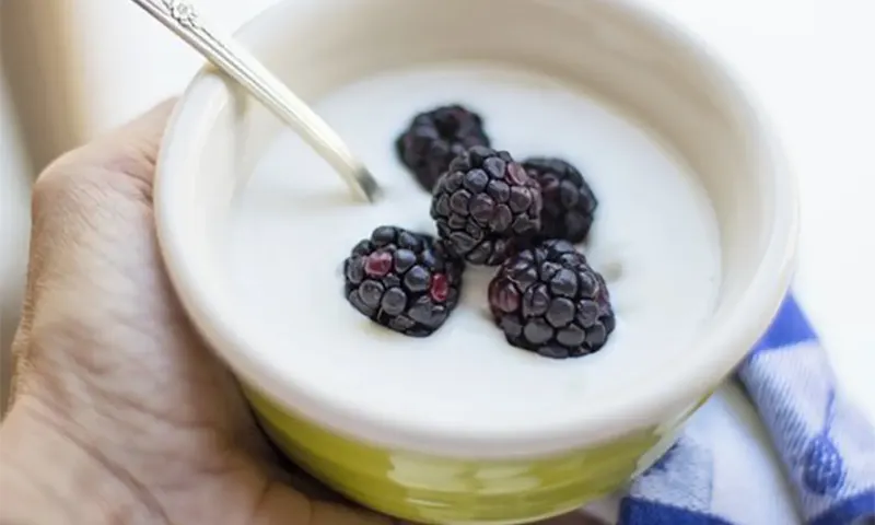 Aneka Resep Olahan Yogurt Enak dan Sederhana!